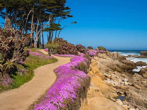 Monterey Bay Coastal Trail | Equation Travel